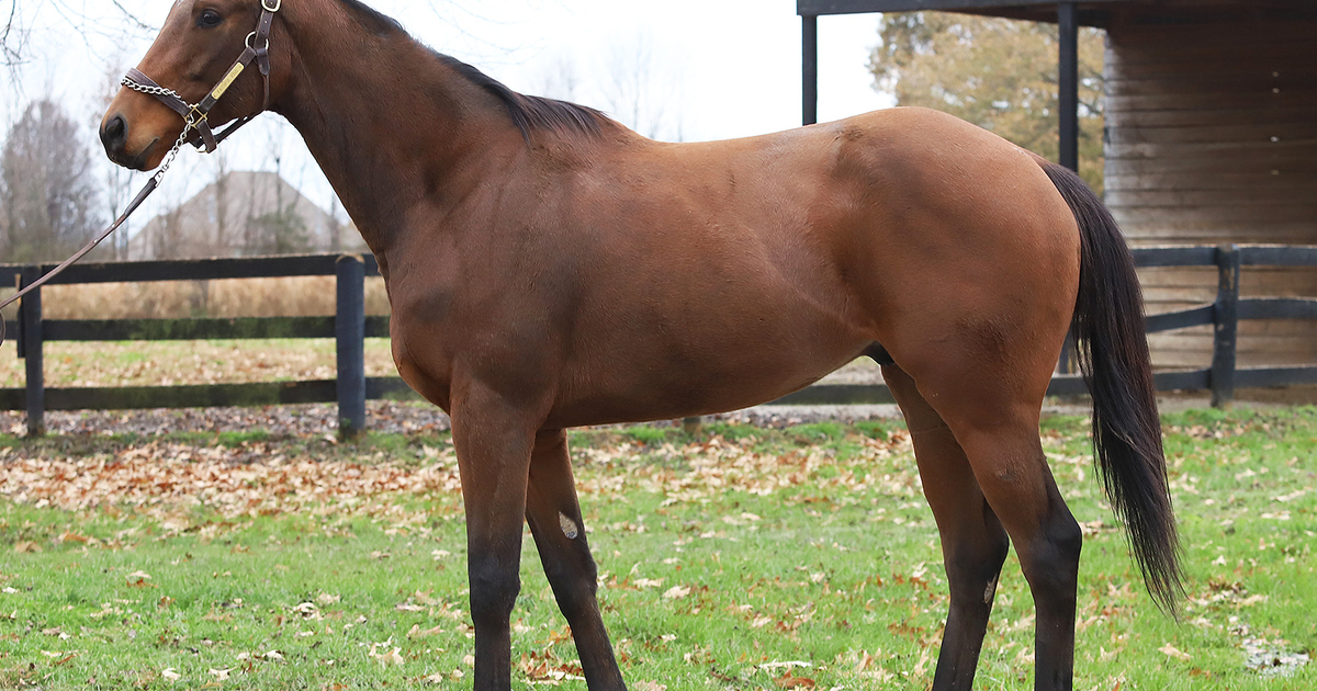 Contact Second Stride