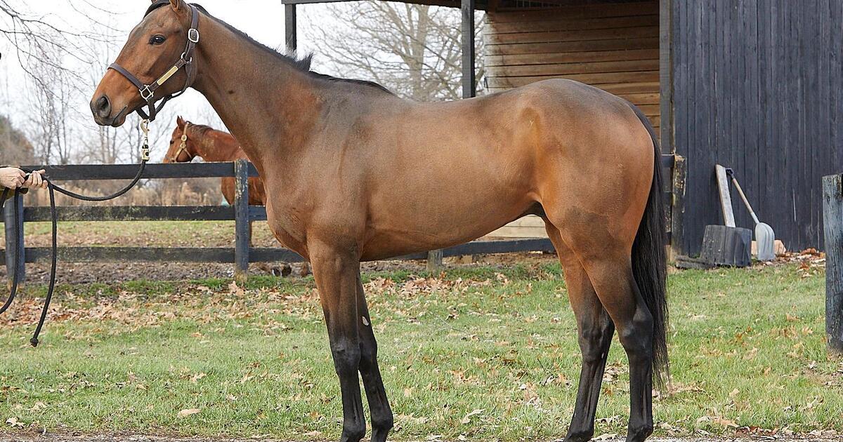 Contact Second Stride