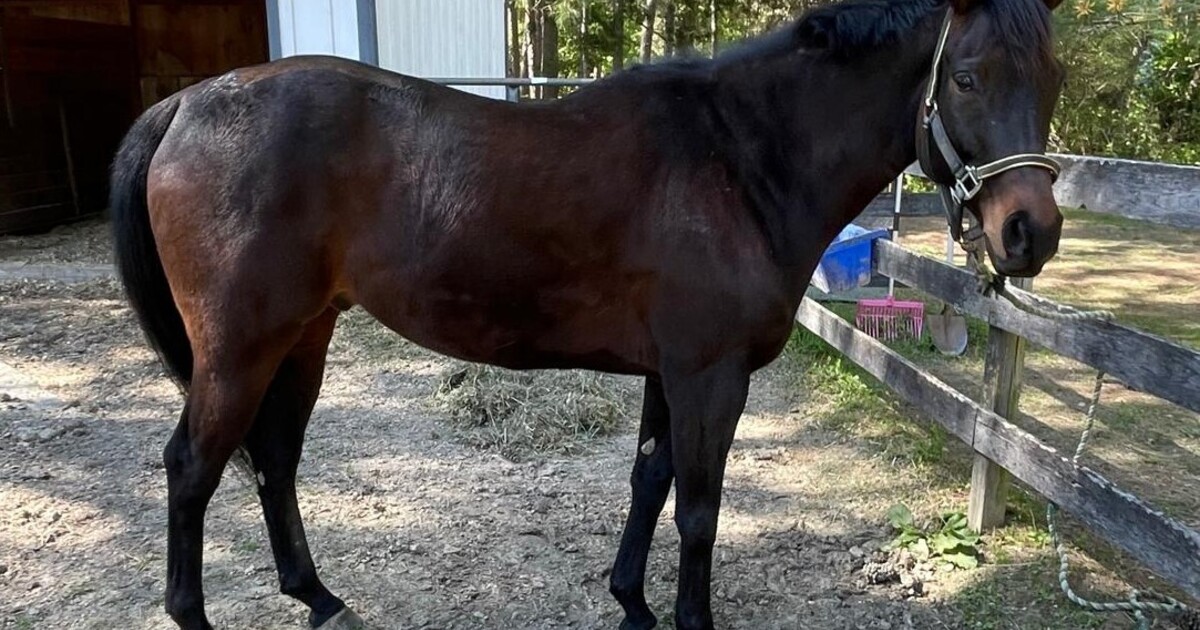 Aperitivo @ My Right Horse