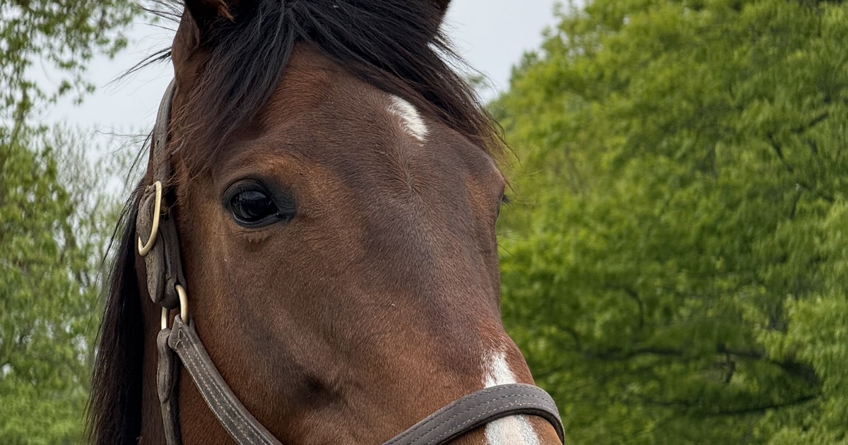 Amore Fire @ My Right Horse