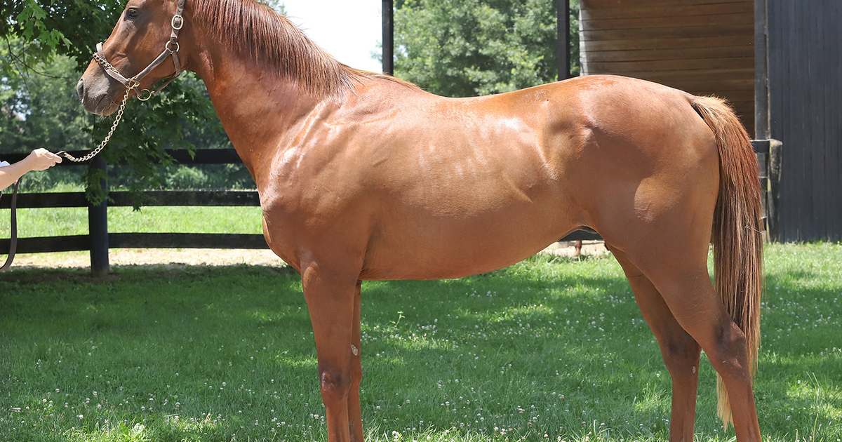 23 First Kiss @ My Right Horse