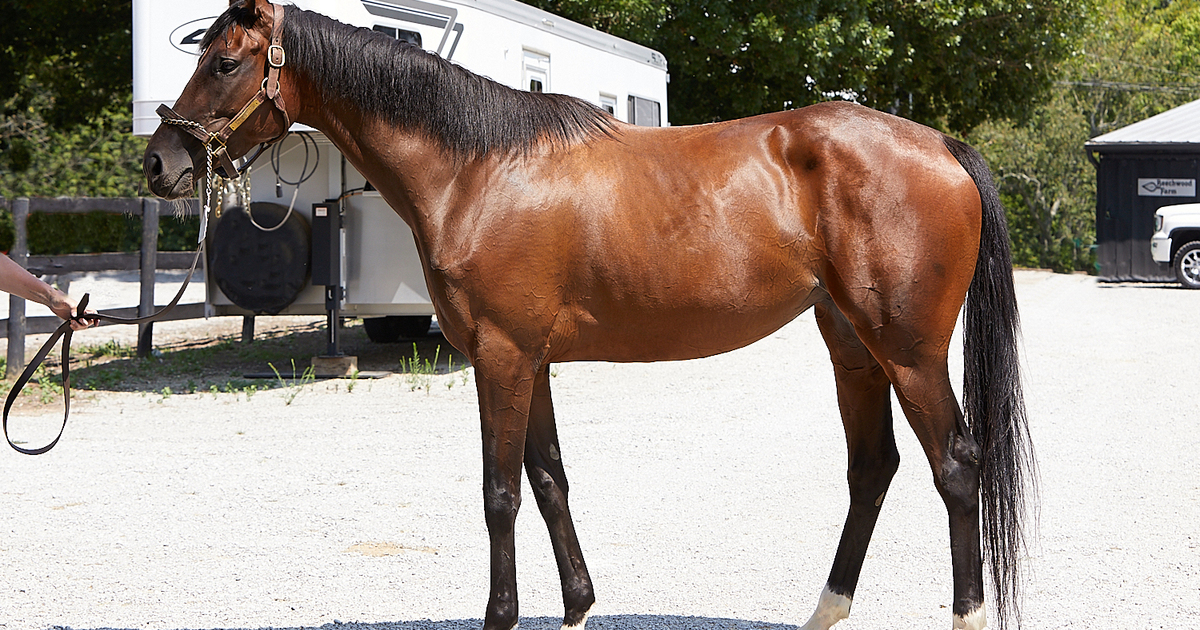 K C Mo @ My Right Horse